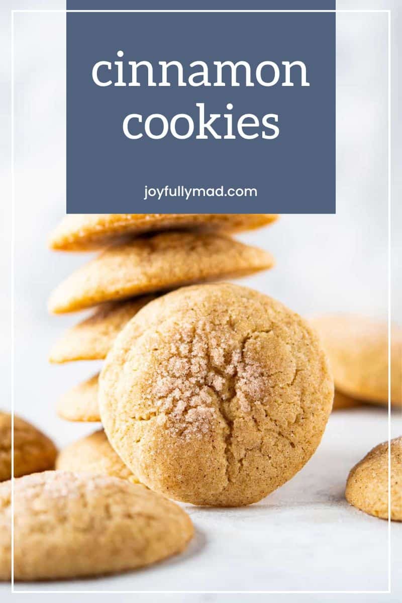 Soft Cinnamon Cookies - Joyfully Mad