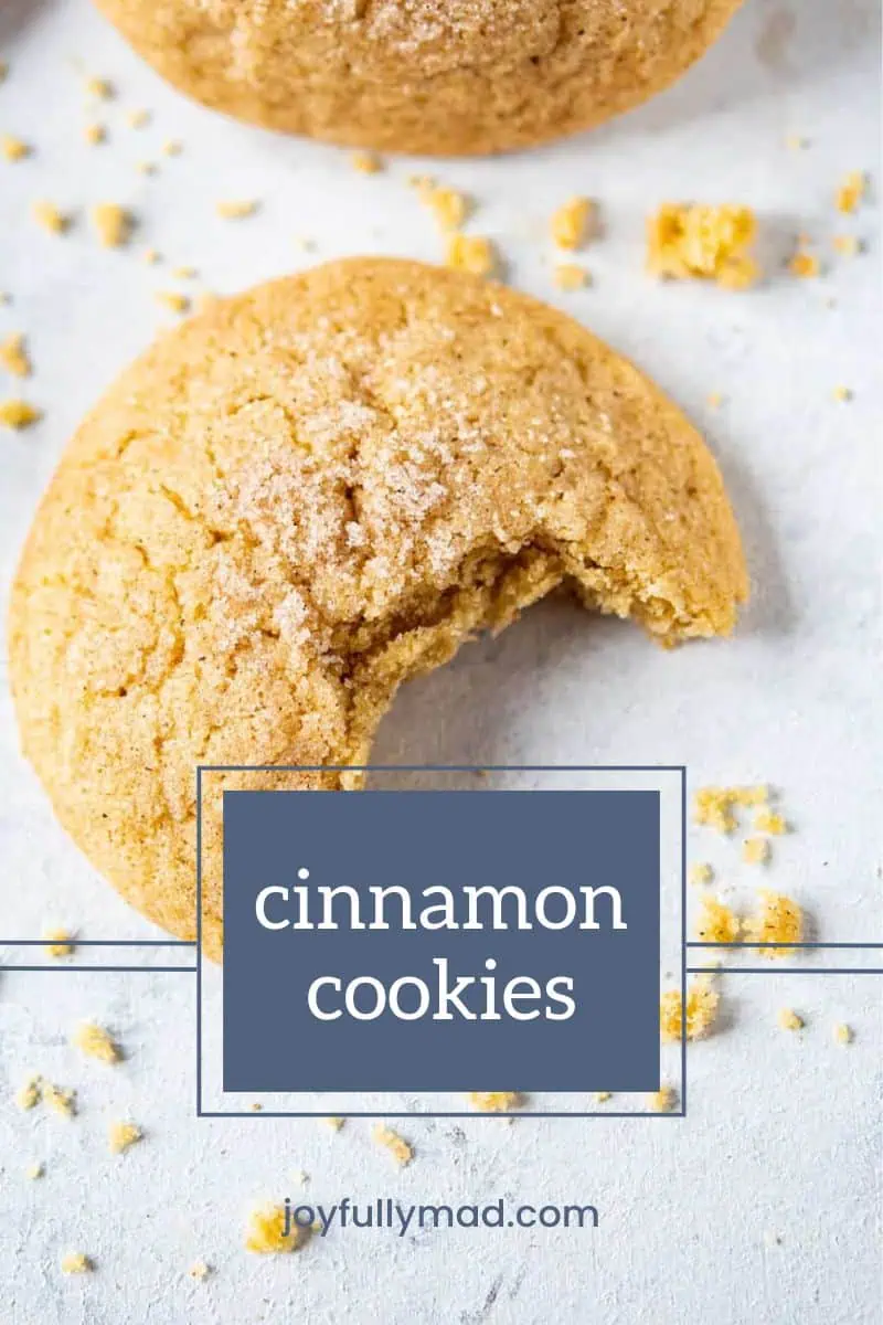 Soft Cinnamon Cookies - Joyfully Mad
