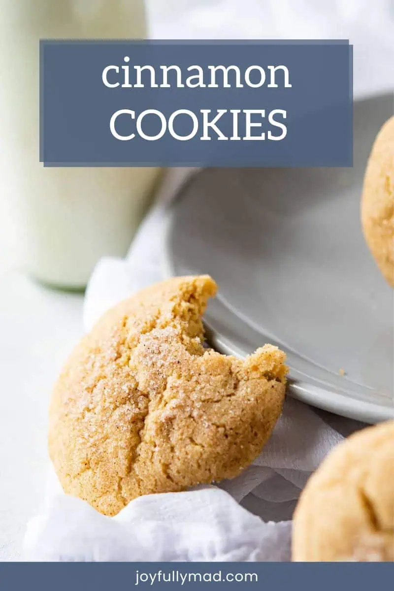 Soft Cinnamon Cookies - Joyfully Mad