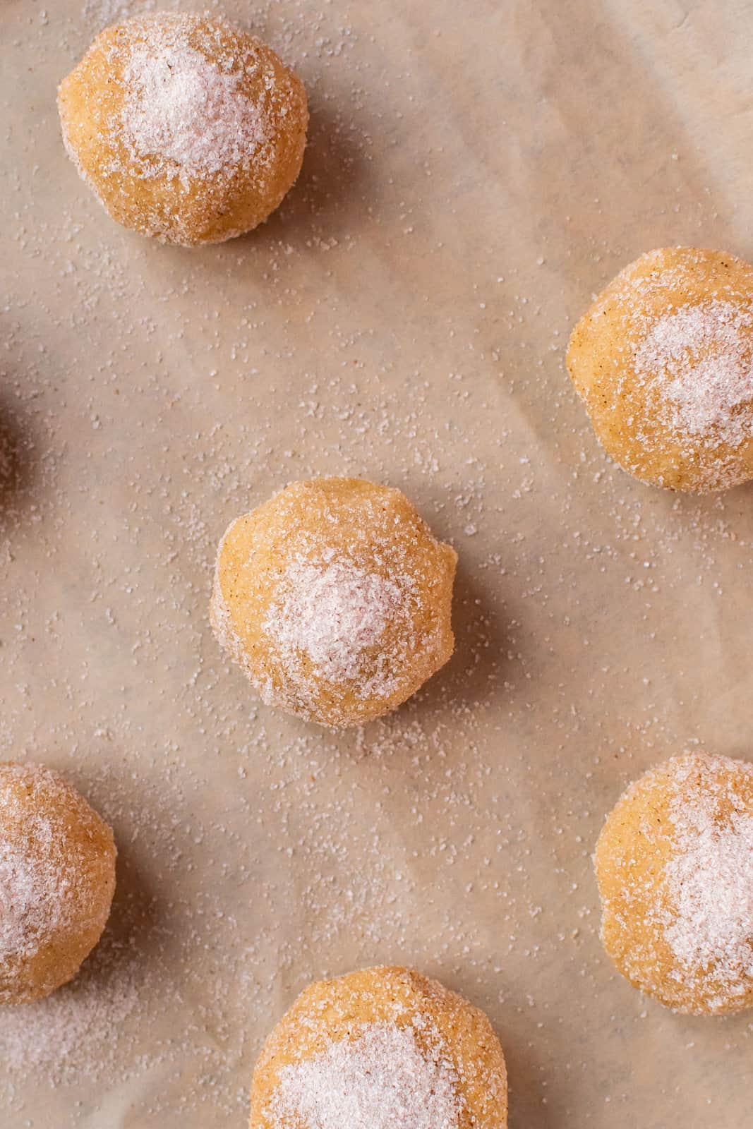 Easy, Soft Cinnamon Cookies - Joyfully Mad
