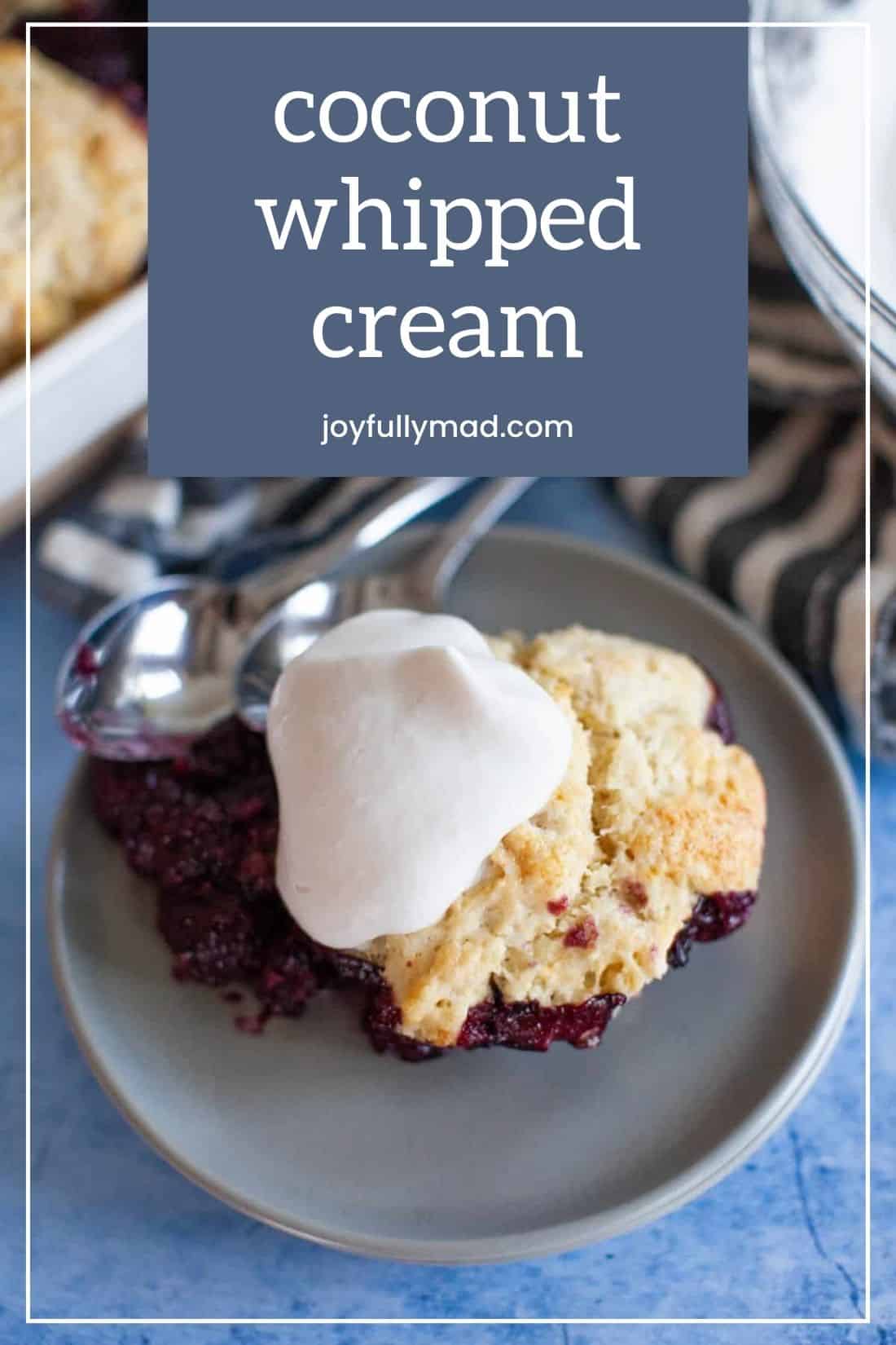 3-Ingredient Coconut Whipped Cream (Dairy-Free & Vegan) - A Joyfully ...
