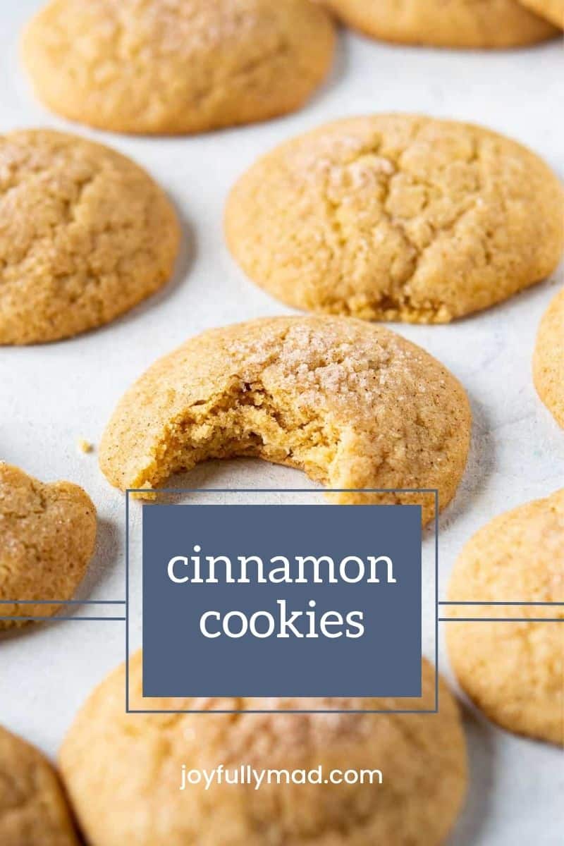 Soft Cinnamon Cookies - Joyfully Mad