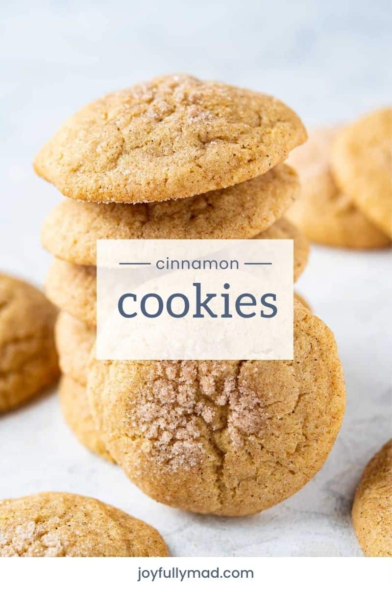 Soft Cinnamon Cookies - Joyfully Mad