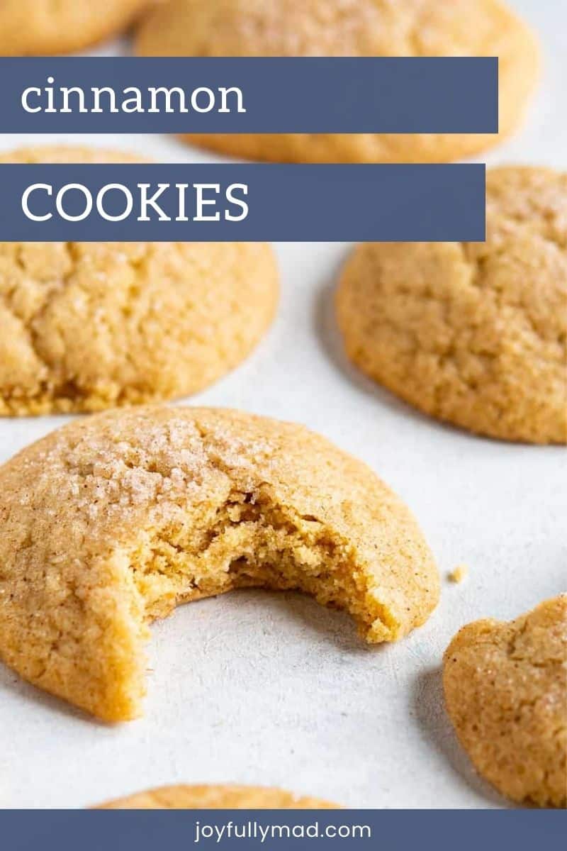 Soft Cinnamon Cookies - Joyfully Mad