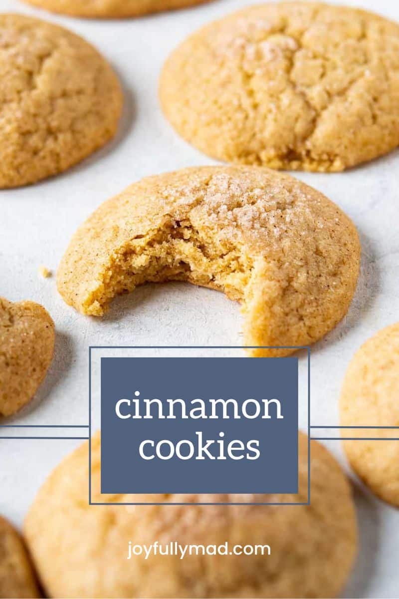 Soft Cinnamon Cookies - Joyfully Mad