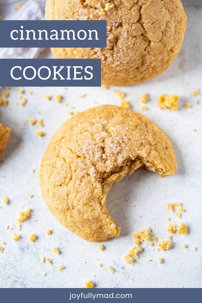 Soft Cinnamon Cookies - Joyfully Mad