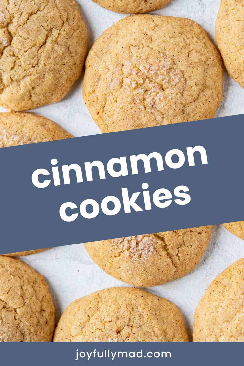Easy, Soft Cinnamon Cookies - Joyfully Mad